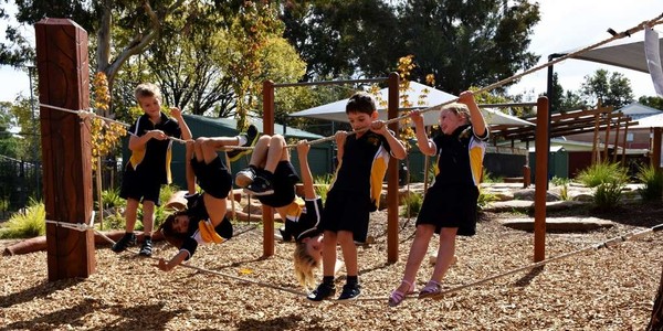 Uniform - Burnside Primary school