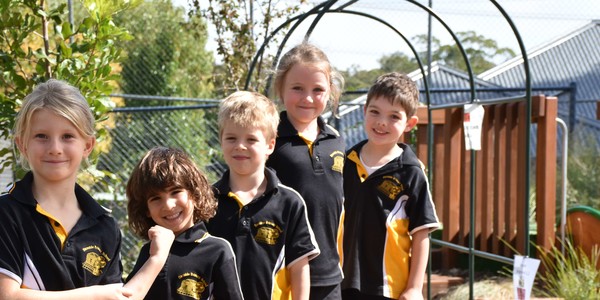 Policies - Burnside Primary school